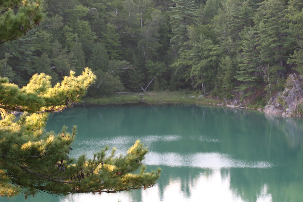 Meromictic by Rosalind Reynolds-Grey – The Real Story